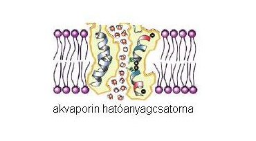 Mezoforte Multi Laser - Lívia szépségszalon